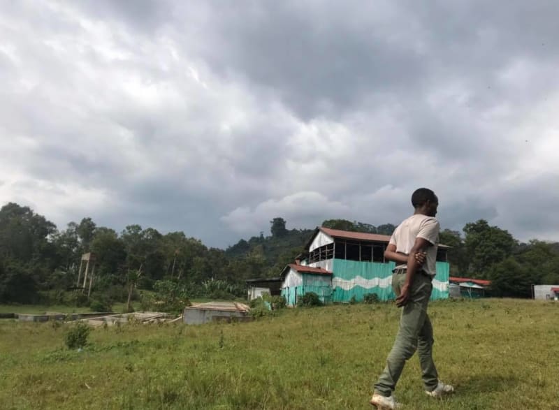 Ethiopia Aricha Anaerobic Natural - Coffee Deliveries - Sample Coffee Roasters